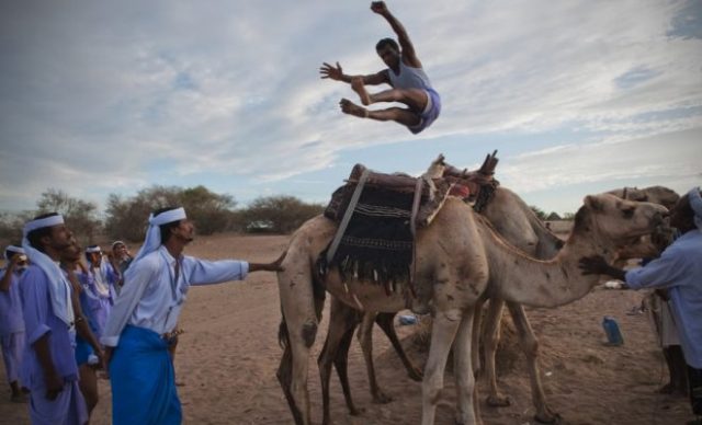 ODD SPORT - CAMEL JUMPING - The Westsider
