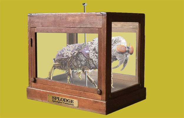 WHEN THE SPLODGE IS BORN, THE END IS NIGH - The Westsider