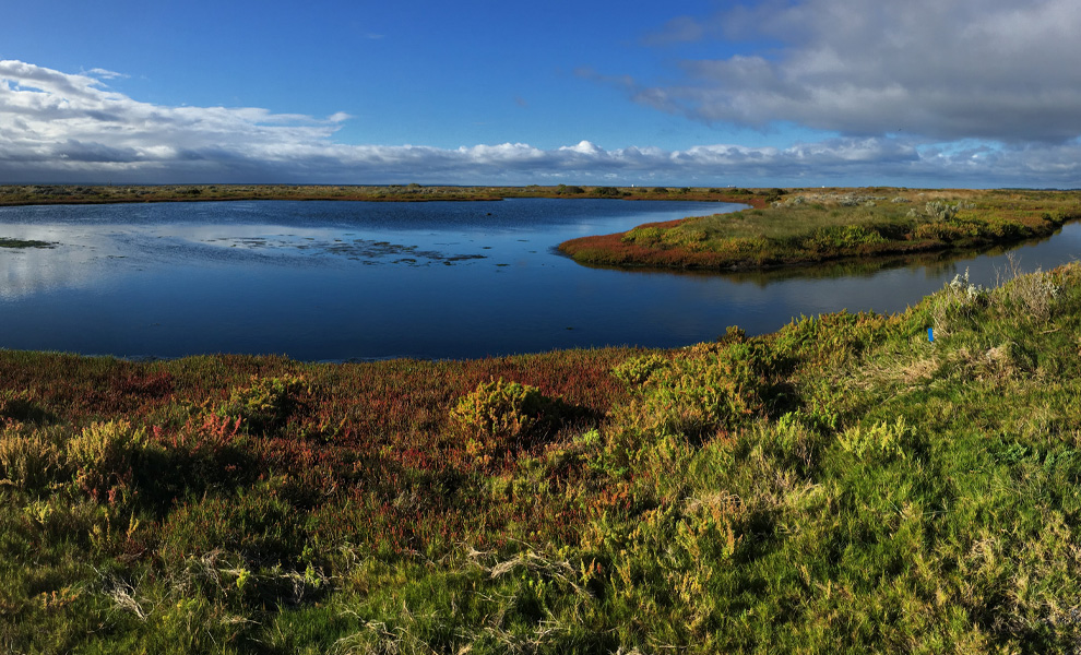 78-Westsider_Hobsons-Bay-Wetlands - The Westsider