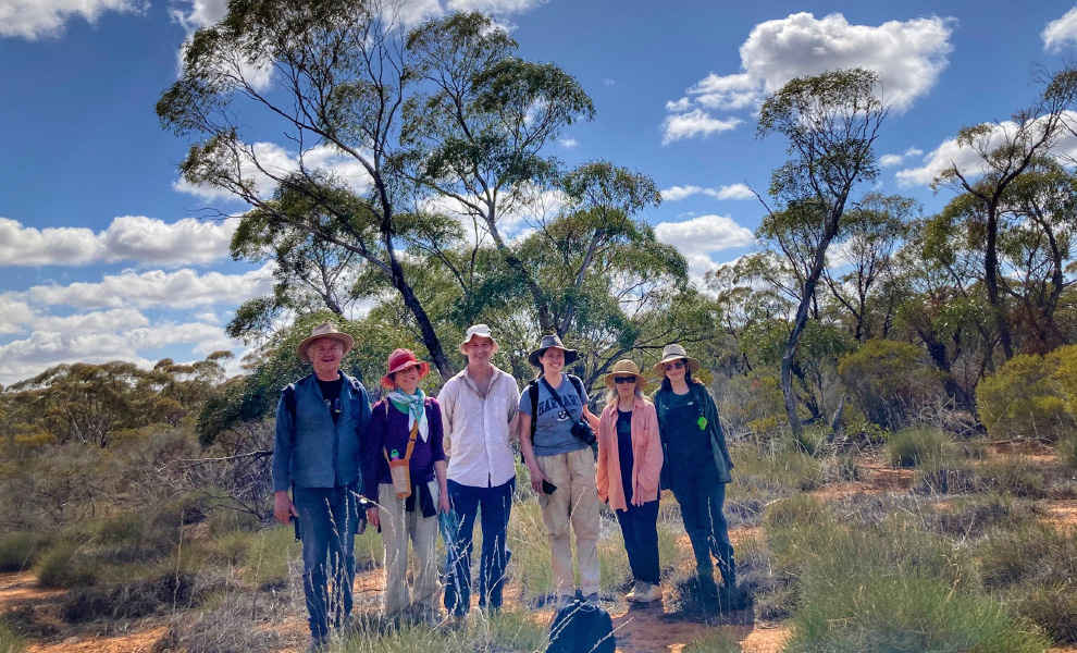 MALLEE FOWL EXPEDITION HELPS TRACK THIS ELUSIVE AND ENDANGERED GEM ...