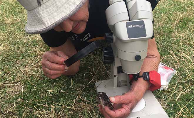SANDY WEBB, SECRETARY JAWBONE BAY MARINE SANCTUARY CARE GROUP - The ...