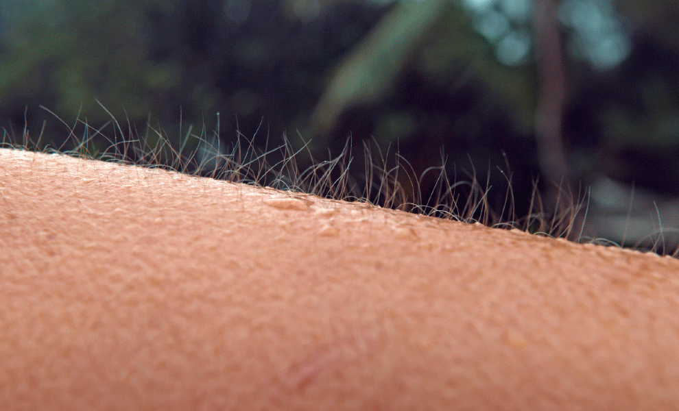 Westsider_0032_Piloerection-Human-Interest - The Westsider