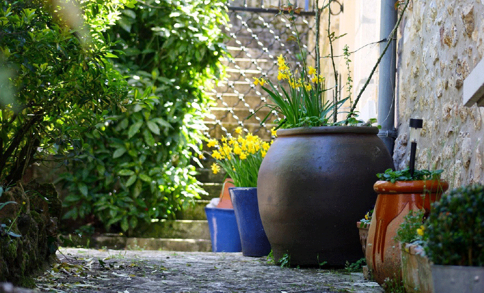 GETTING TO KNOW YOUR (MICRO)CLIMATES - The Westsider