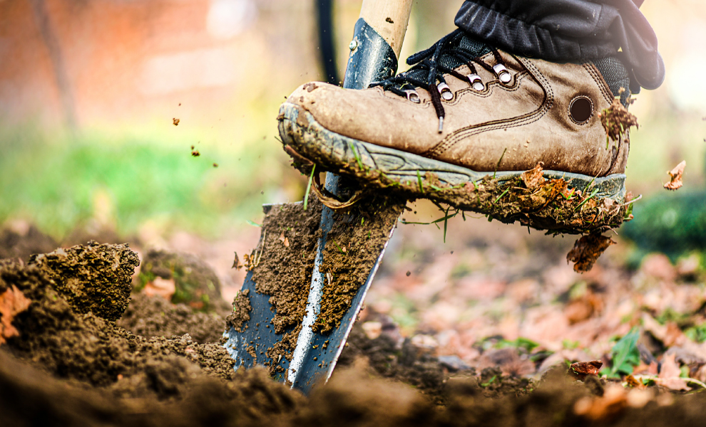 THE MYSTERIOUS CASE OF THE MISSING BURIED TIME CAPSULE - The Westsider