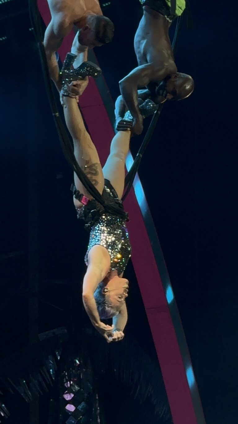 P!NK: The Summer Carnival Tour - The Westsider