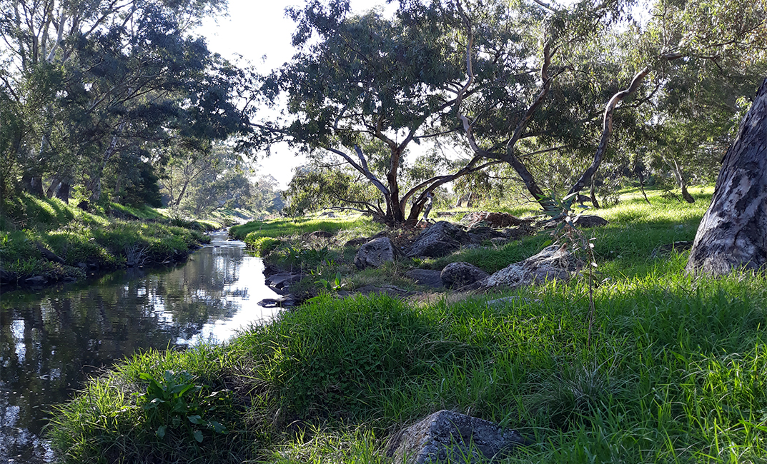 People power restoring the ecosystems of Melbourne’s precious western ...