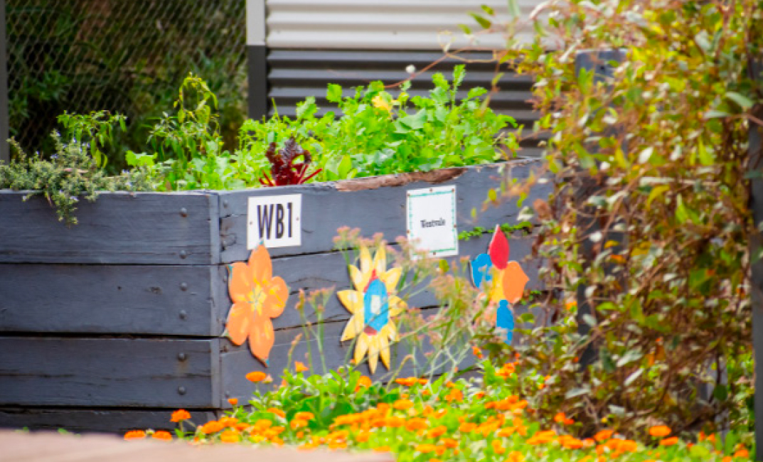 Public libraries are leading the sustainability charge in Melbourne’s ...