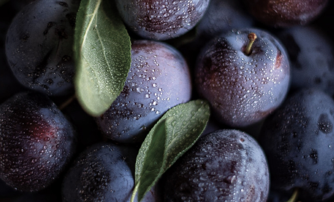 Could a new super-plum treat eczema? You can help us find out! - The ...