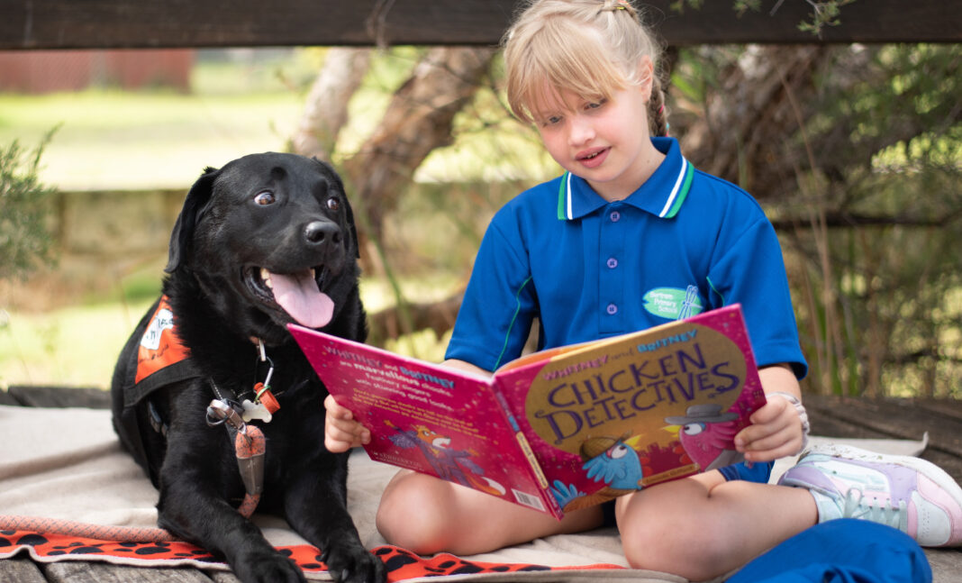 Story Dogs improving literacy and confidence in young readers - The ...